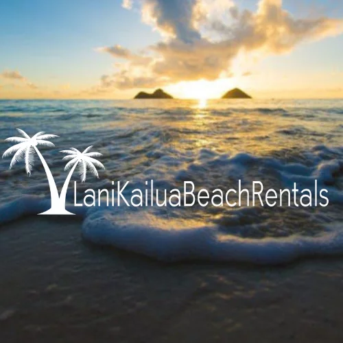 Hauoli-Socially Inspired | Selena Conmackie | Website Design Strategy ...